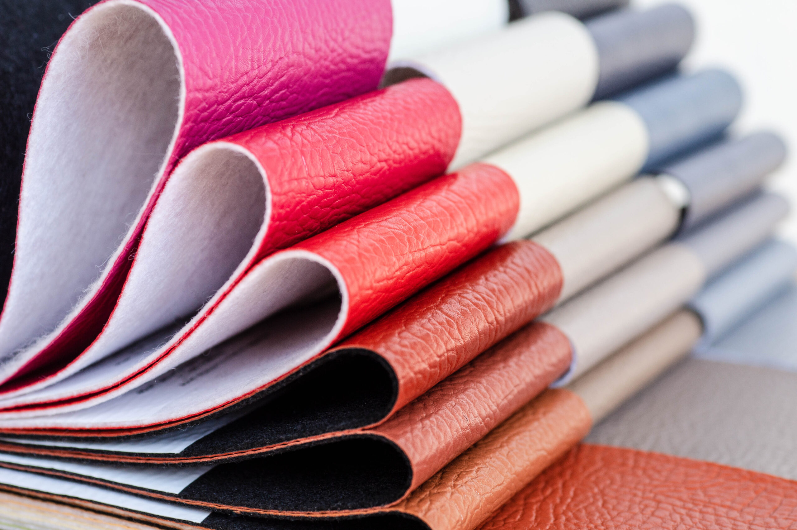 Softline Brand Partners: Making a Difference Through Donations